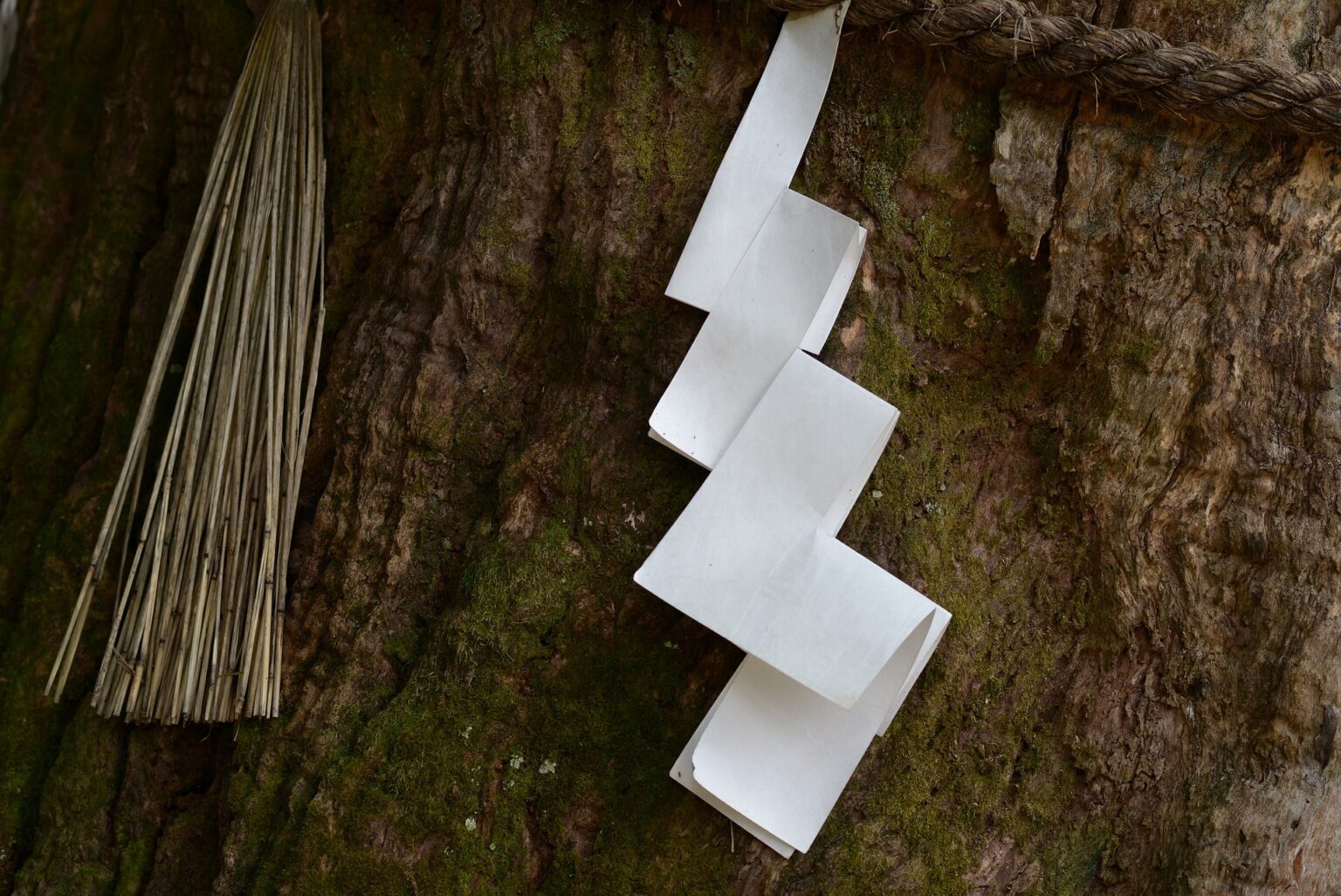 Shide - The Traditional Japanese Paper Streamers