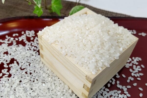 5 Types of Japanese Rice - Everything To Know