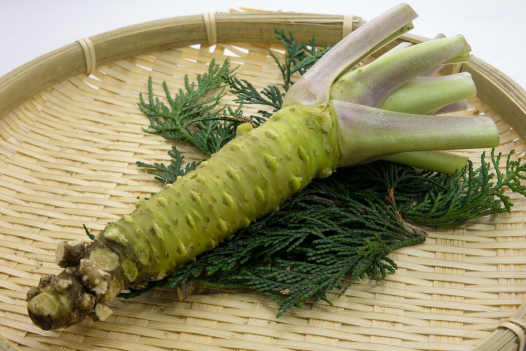 What is Wasabi? Exploring the Tasty and Delightful Japanese Condiment
